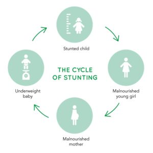 Green Food Foundation